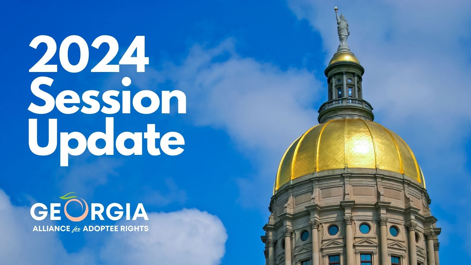 2024 Session Update | Georgia Alliance for Adoptee Rights